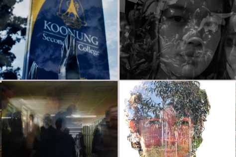 Homepage | Creative Whitehorse